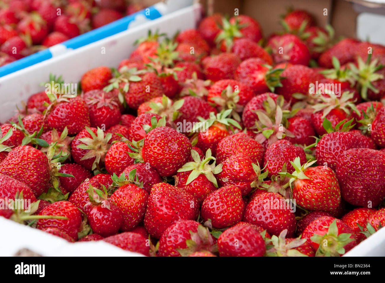 Box of strawberries Stock Photo - Alamy