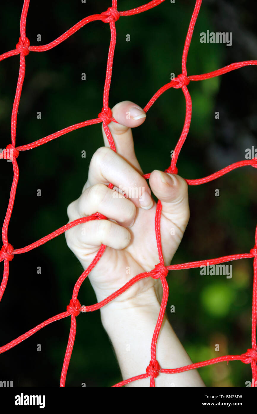 Nylon Net High Resolution Stock Photography and Images - Alamy