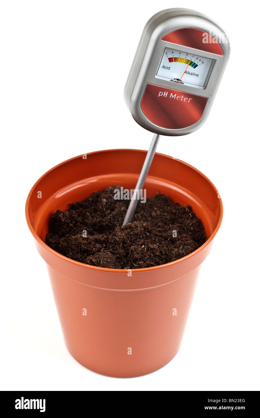 Soil ph test hi-res stock photography and images - Alamy