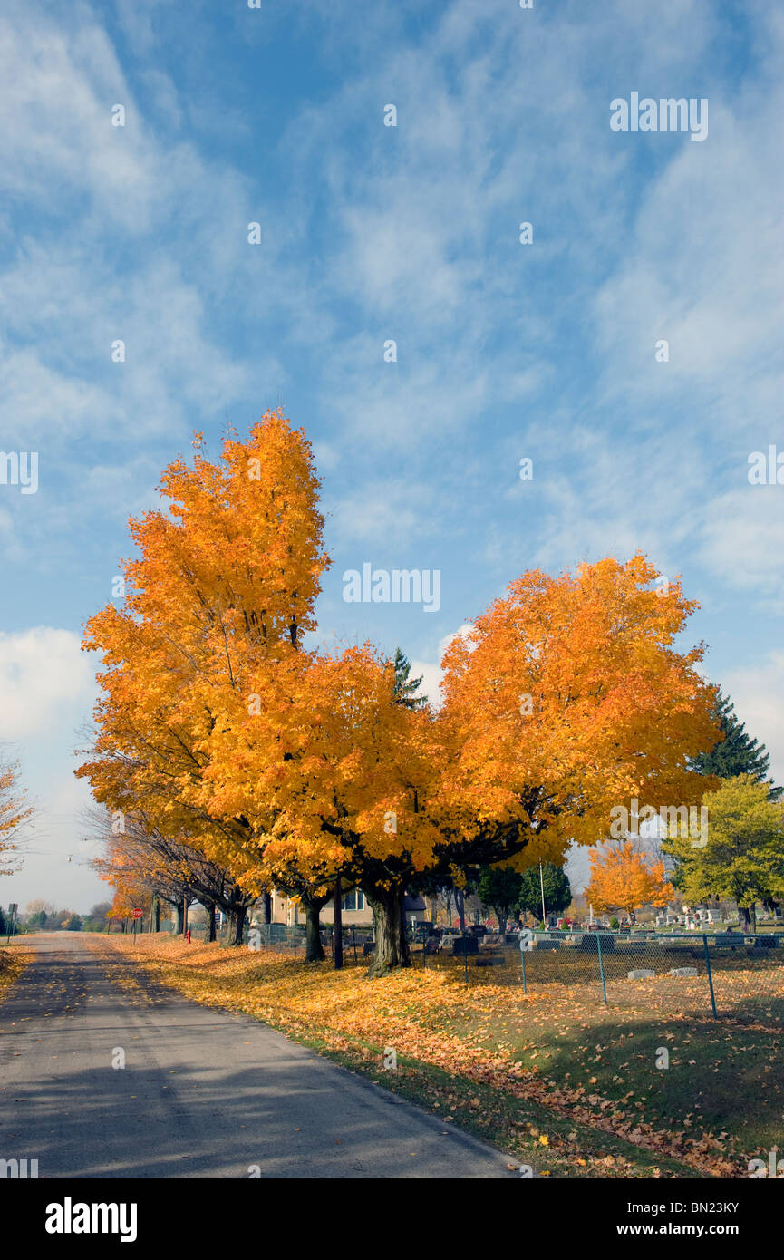 Fall Autumn colors line an old residential street in Lexington Michigan ...