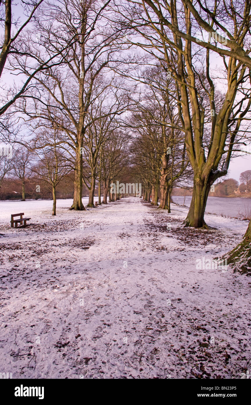 Hexham scenery hi-res stock photography and images - Alamy
