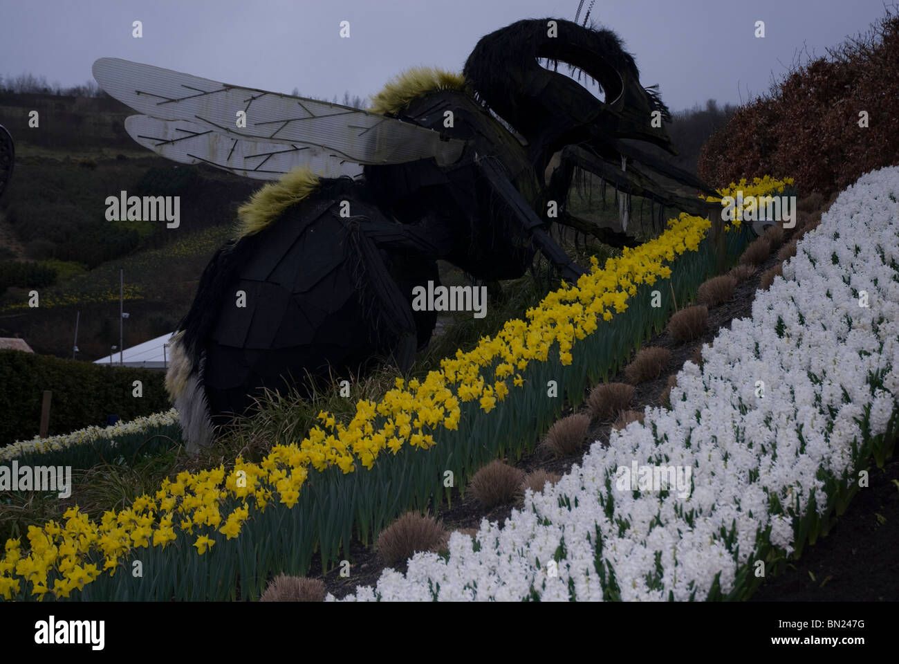 Model of a Bumble Bee at the Eden Project, Cornwall, England, UK Stock ...