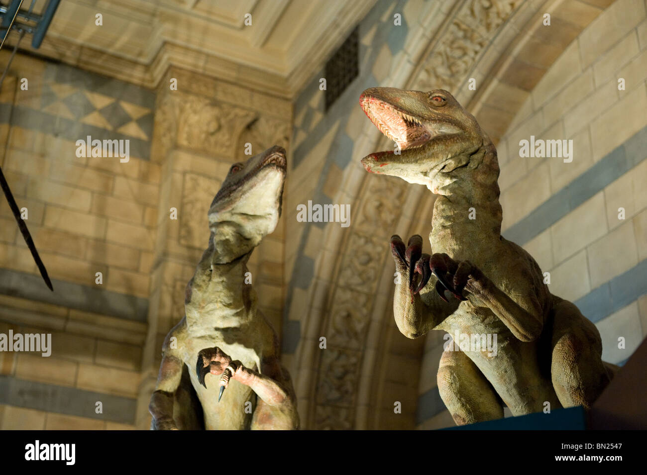 Animatronic or robotic dinosaur models in the Natural History Museum ...