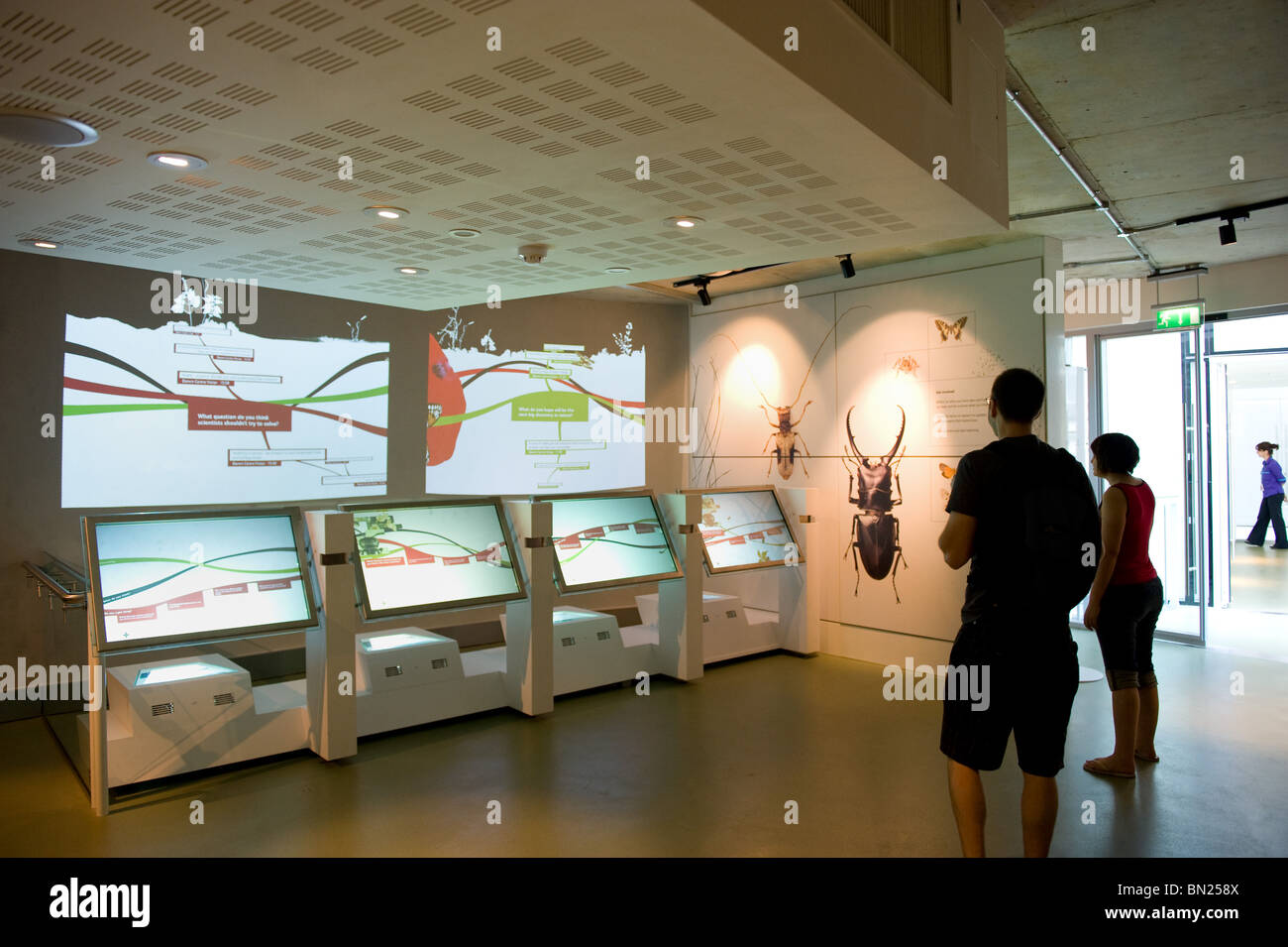 People looking at displays within the Darwin Centre cocoon in the ...