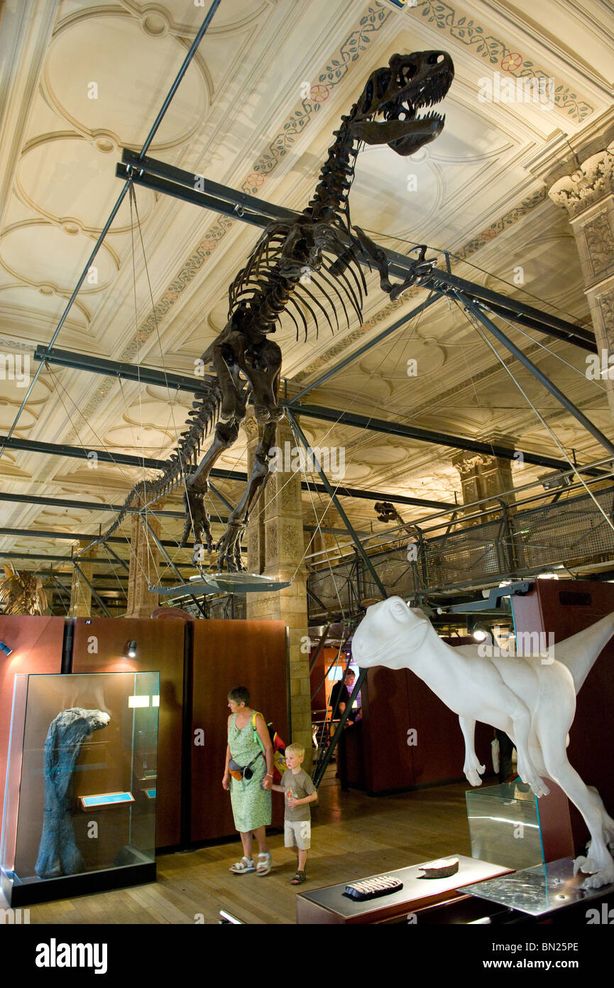 Child science museum dinosaur hi-res stock photography and images - Alamy