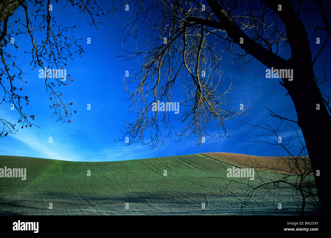 BEAUTIFUL RURAL LANDSCAPE Stock Photo - Alamy