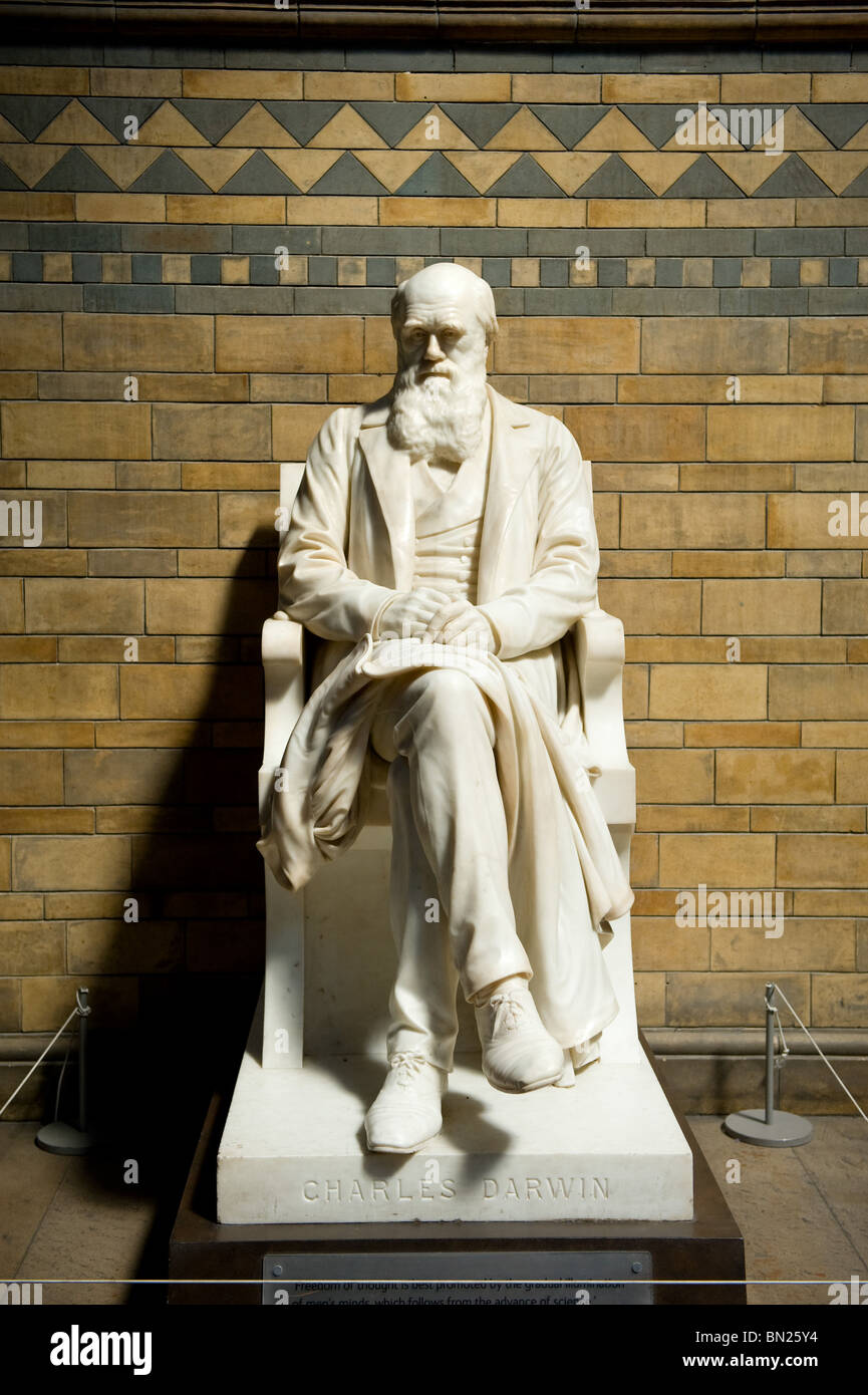 Statue of Charles Darwin in the Natural History Museum, Kensington ...