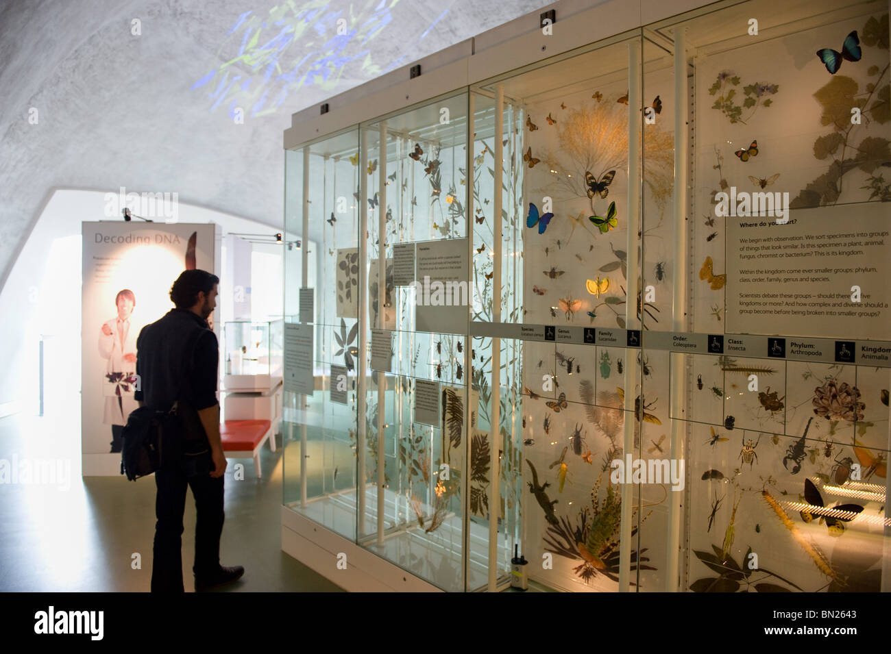 New darwin centre natural history hi-res stock photography and images ...