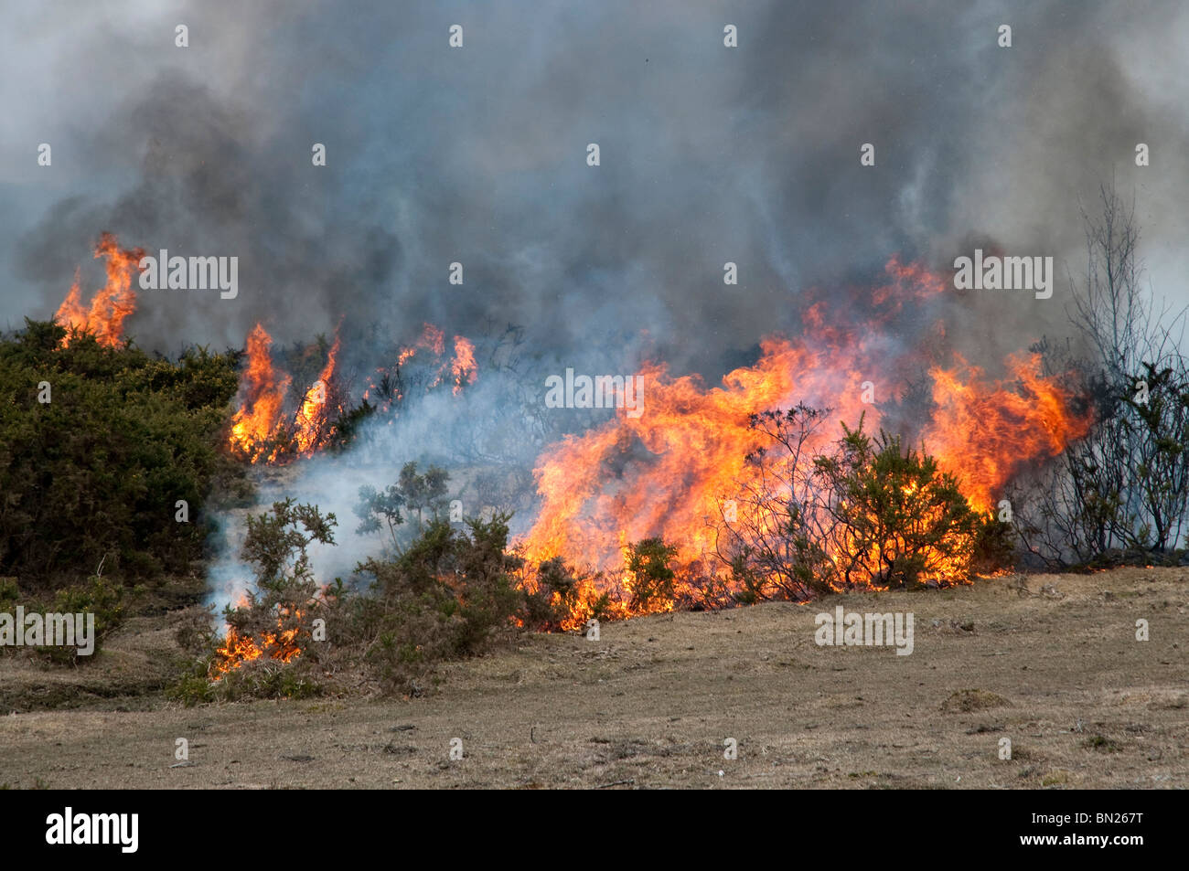 Controlled moor burn hi-res stock photography and images - Alamy
