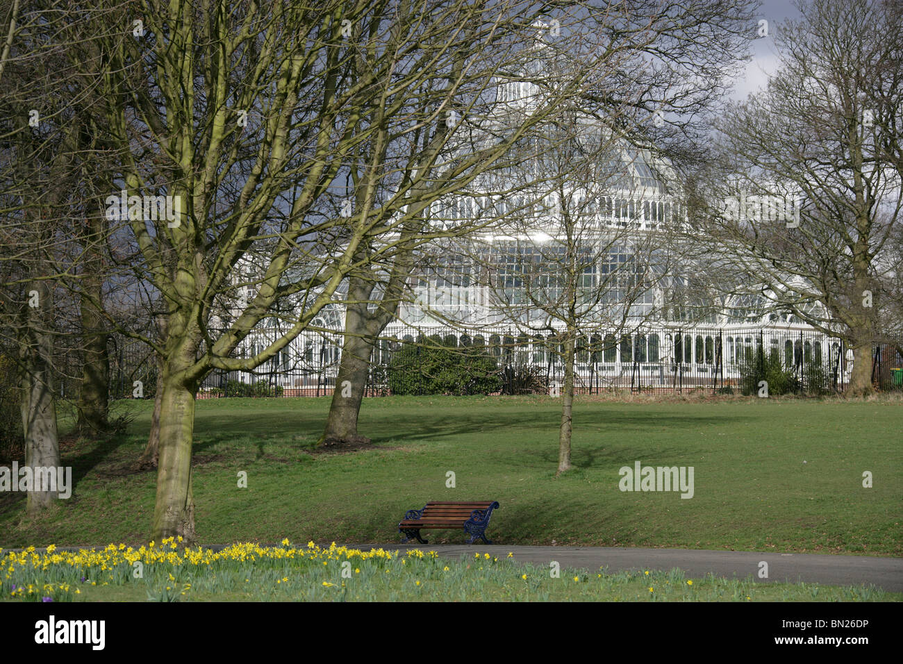City of Liverpool, England. Early spring view of daffodils in Sefton ...