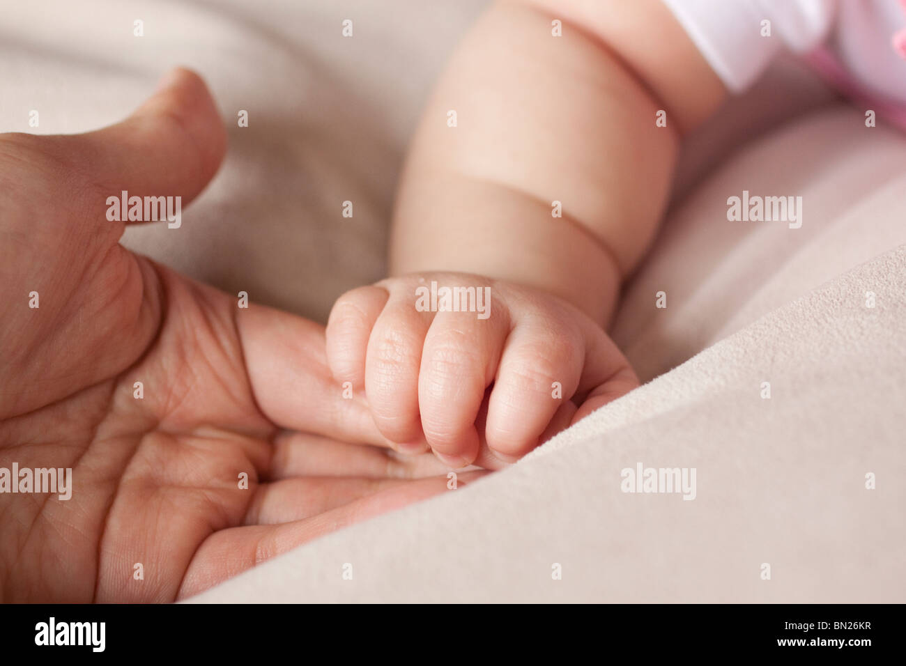 Chinese family holding hands hi-res stock photography and images - Alamy
