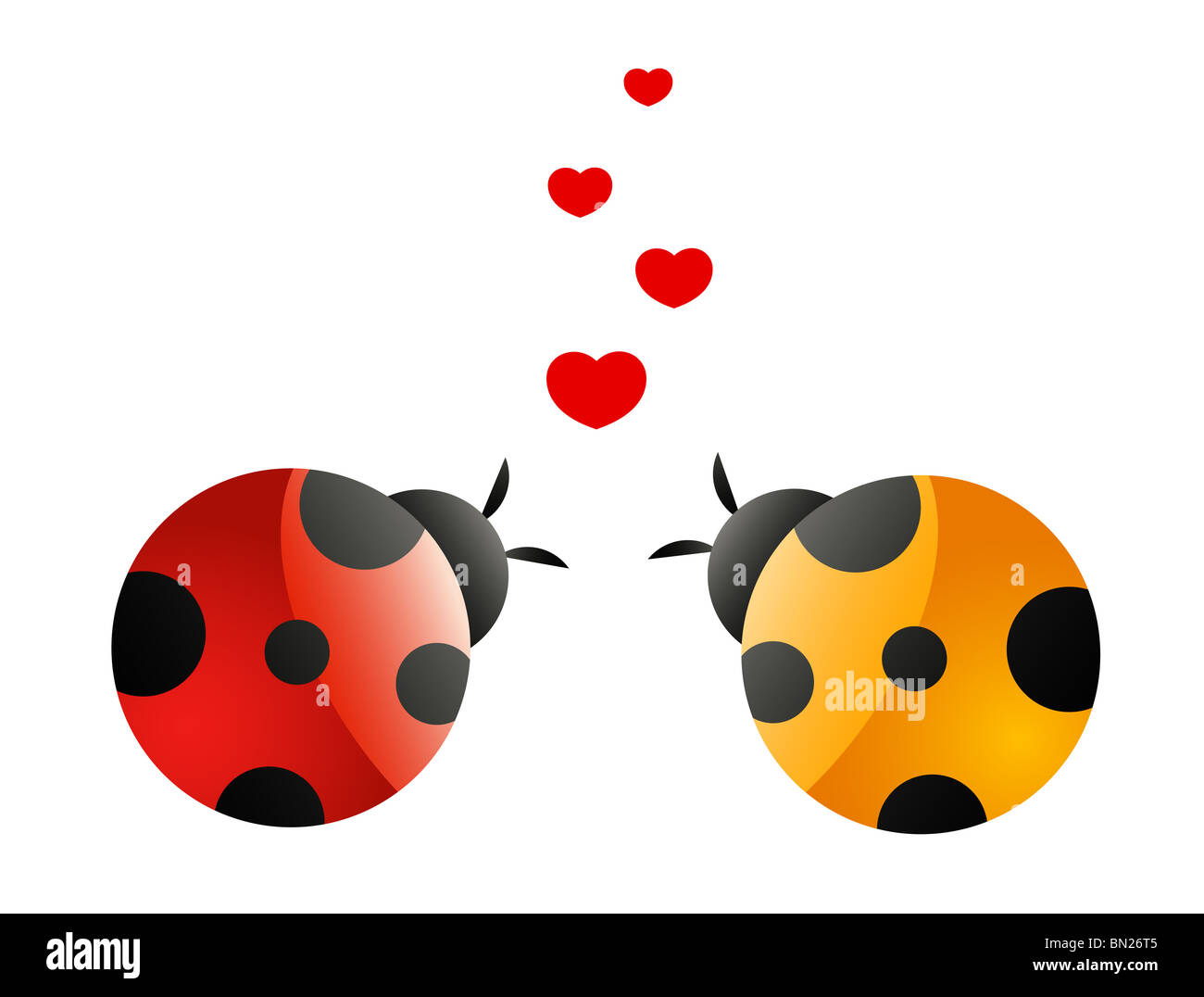 two in love ladybirds on a white background Stock Photo - Alamy
