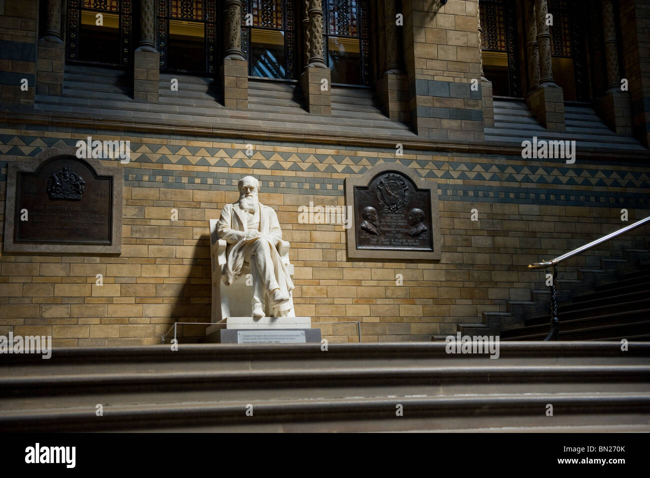 Statue of Charles Darwin in the Natural History Museum, Kensington ...