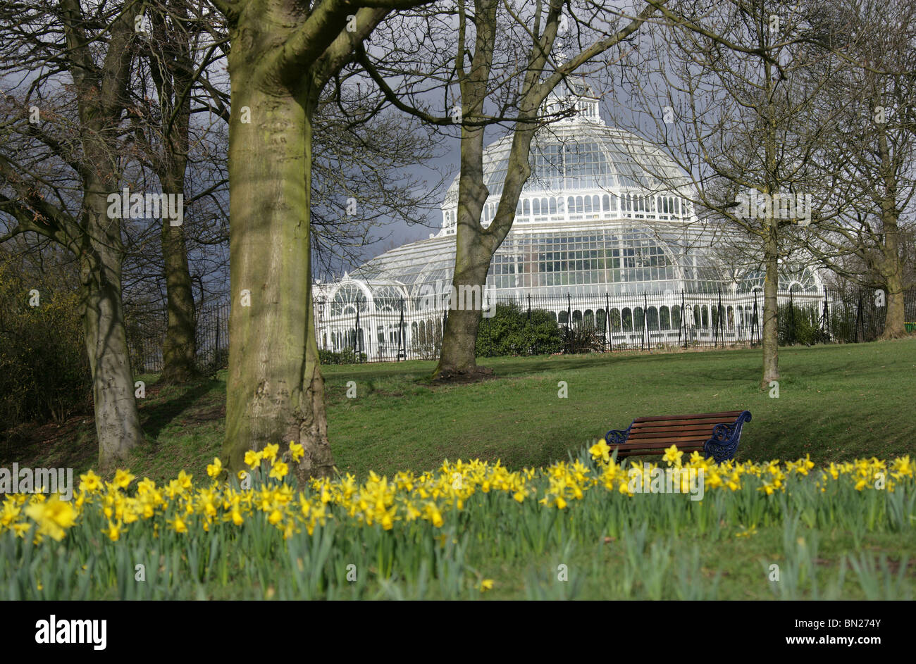 City of Liverpool, England. Early spring view of daffodils in Sefton ...