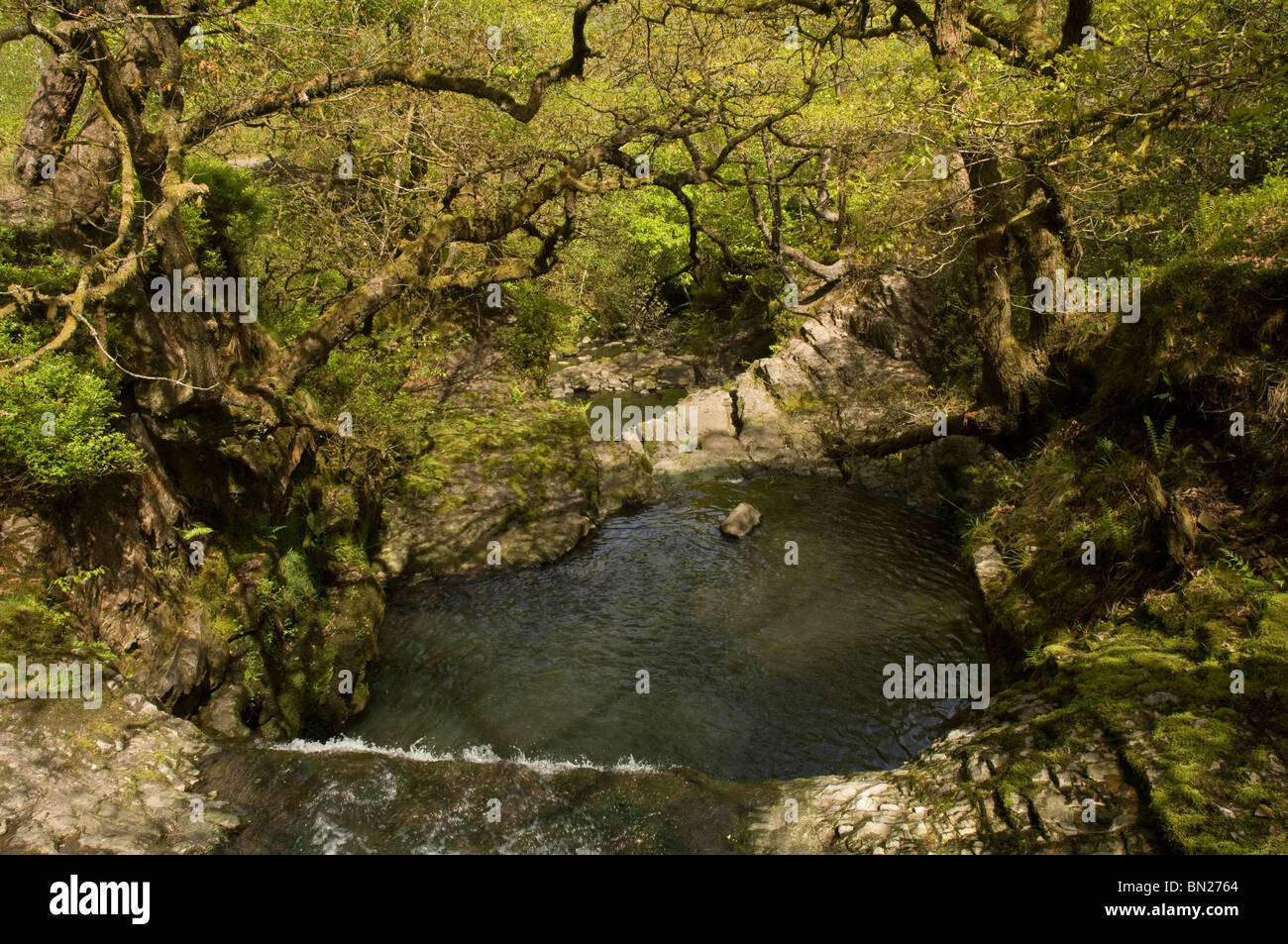Waterfall, Sychryd Valley, Ystradfellte, Brecon Beacons National Park ...