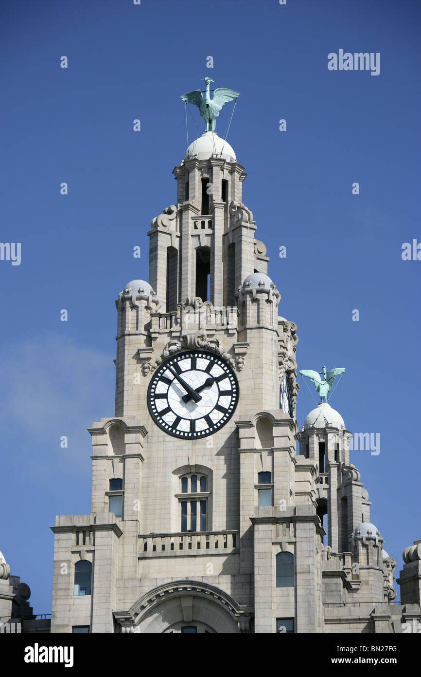 City of Liverpool, England. Close up view of the clock tower and two ...