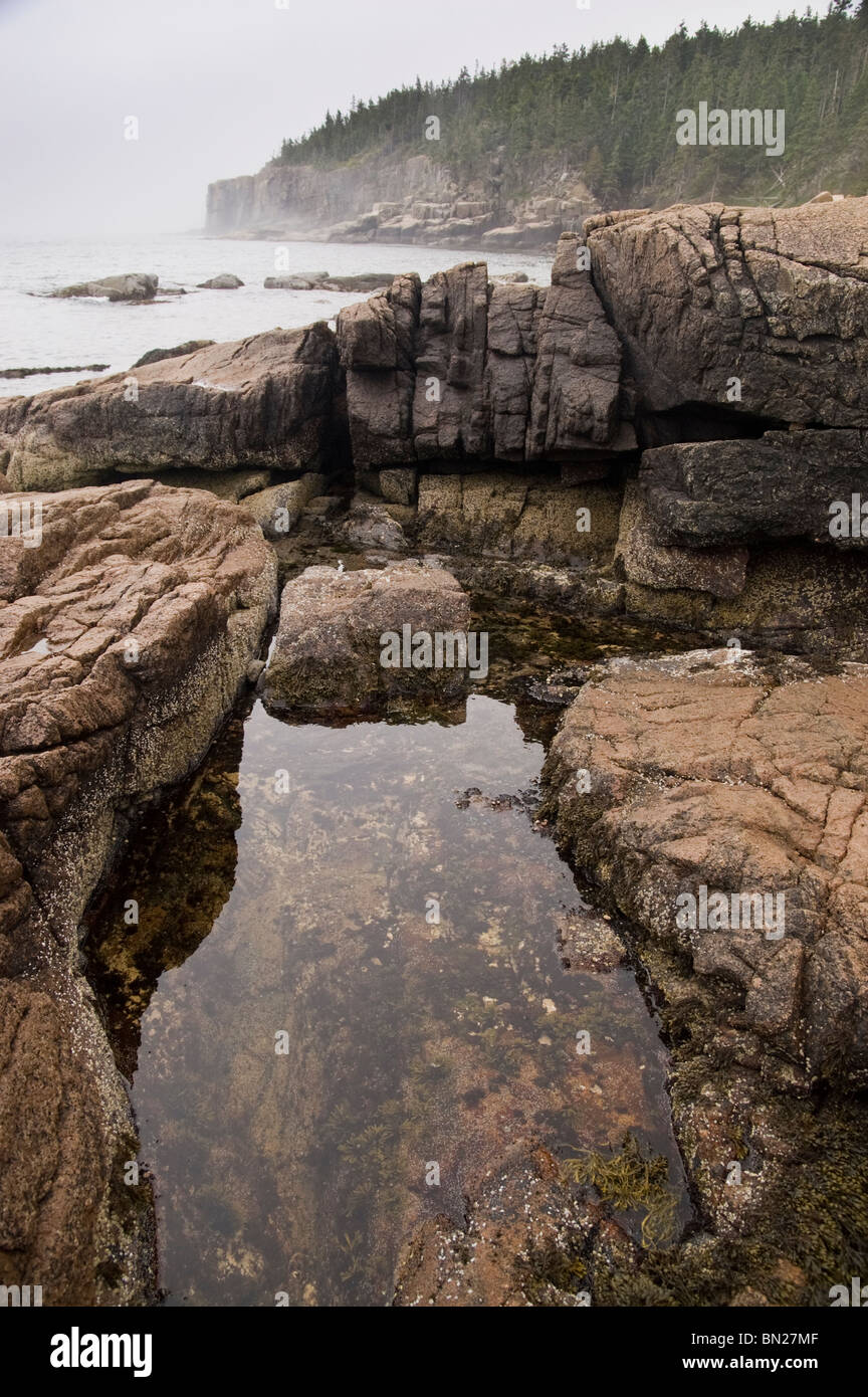 Rocky granite shoreline on the Atlantic coast, near Thunder Hole ...