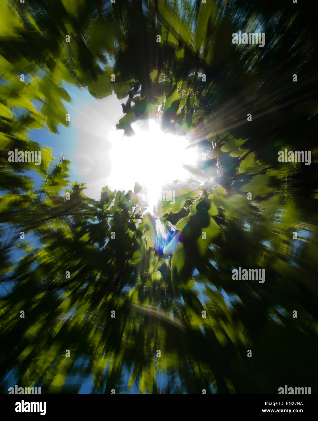 Seeing sun hi-res stock photography and images - Alamy
