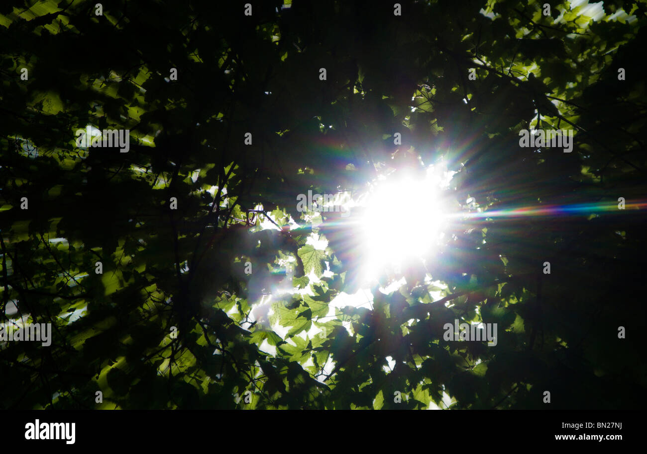 Seeing sun hi-res stock photography and images - Alamy