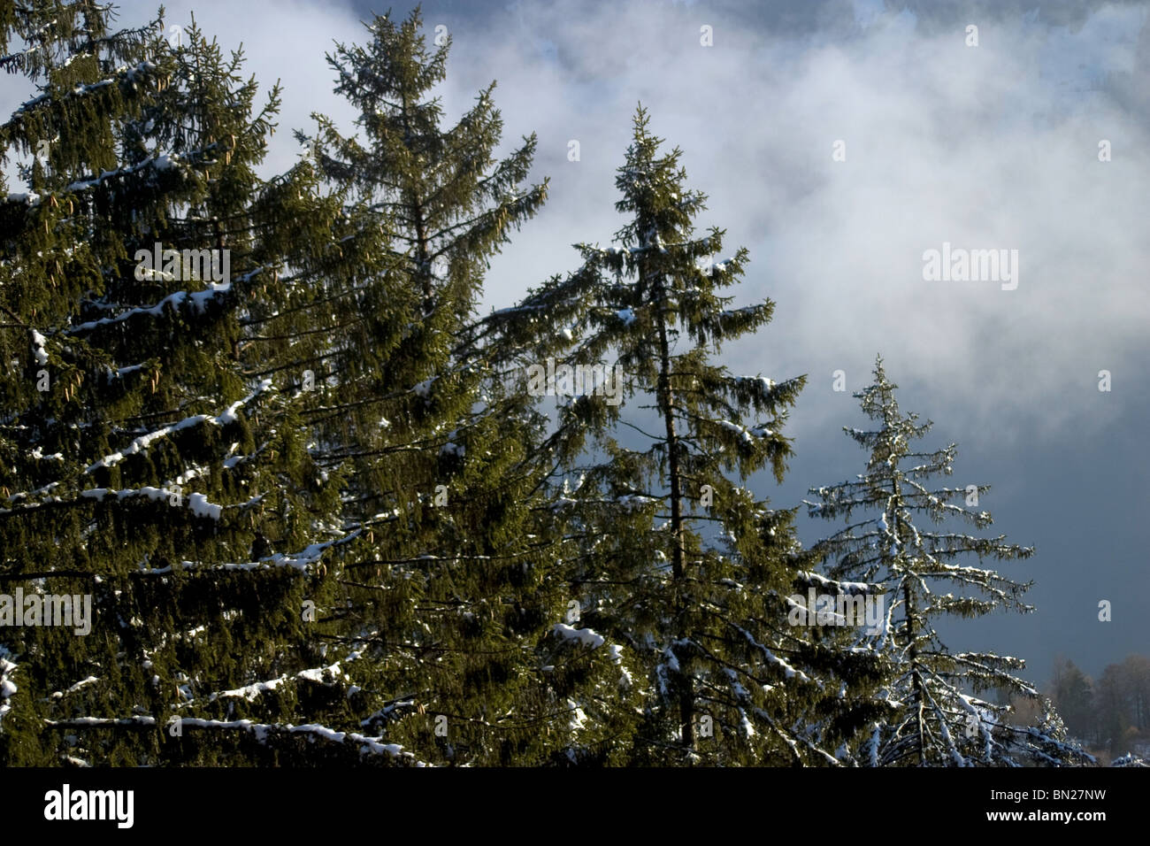 195 007 369 hi-res stock photography and images - Alamy