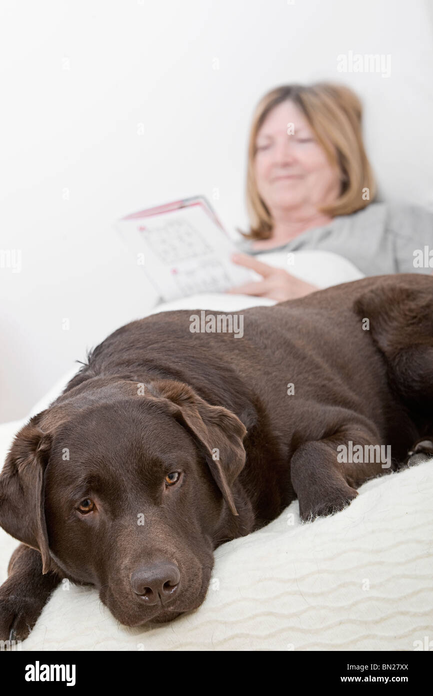 Lady playing with dog hi-res stock photography and images - Alamy