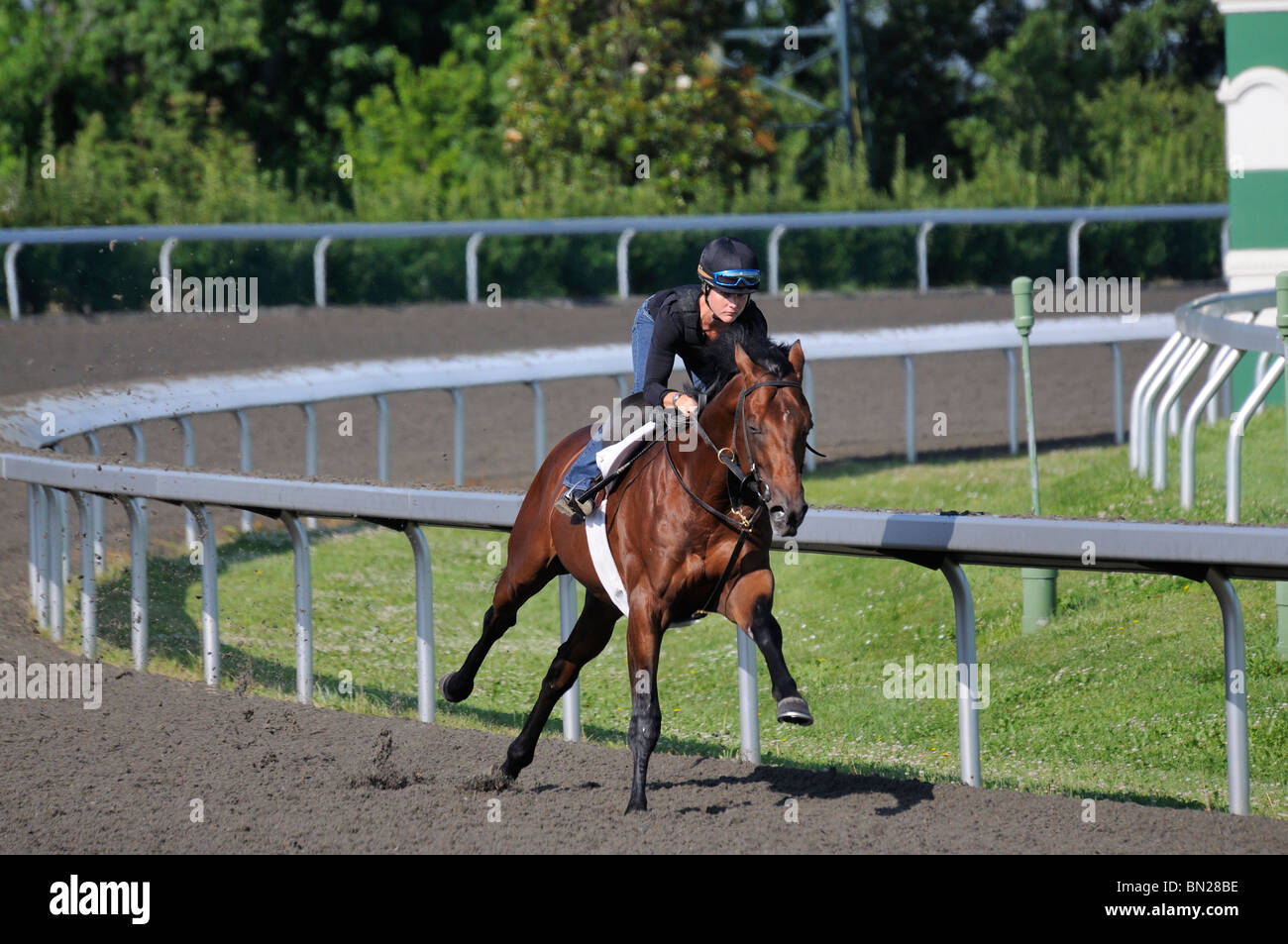 Thoroughbred horse and girl exercise jockey at the Keeneland horse ...