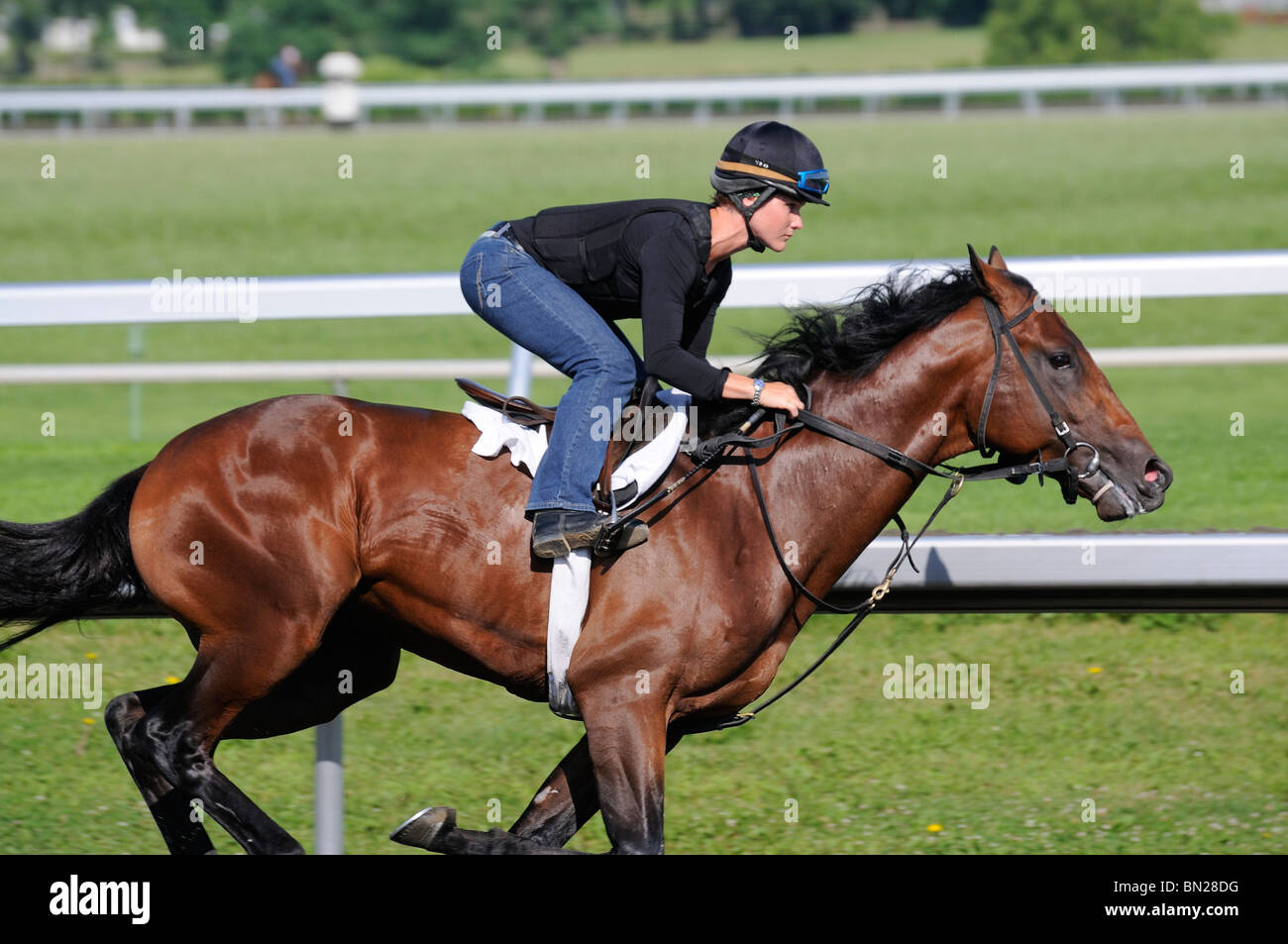 Thoroughbred horse and girl exercise jockey at the Keeneland horse ...