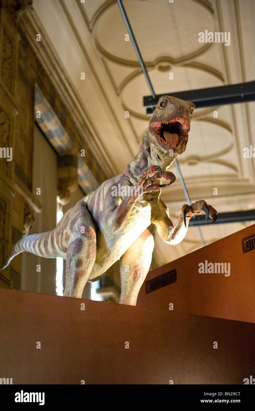 Animatronic or robotic dinosaur models in the Natural History Museum ...