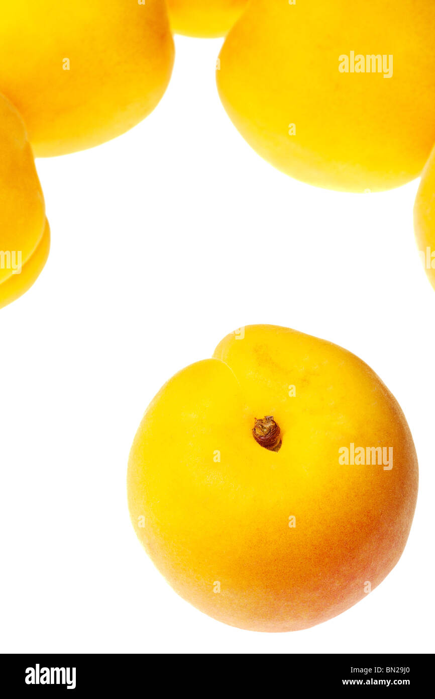 apricot isolated on a pure white background Stock Photo - Alamy