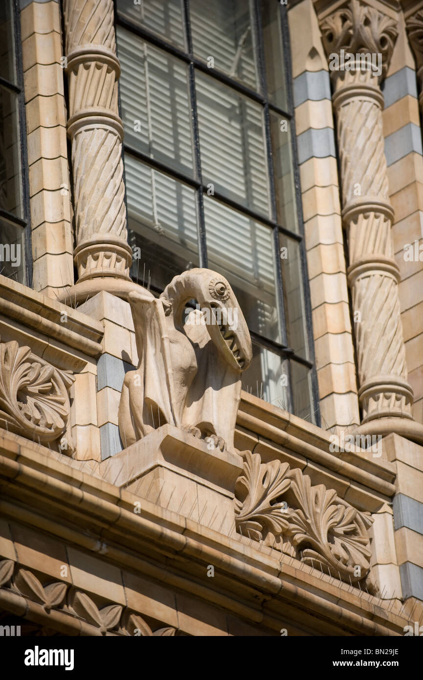 Gargoyle on the exterior of the Natural History Museum in London, UK ...