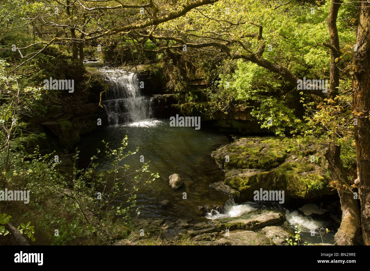 Waterfall, Sychryd Valley, Ystradfellte, Brecon Beacons National Park ...