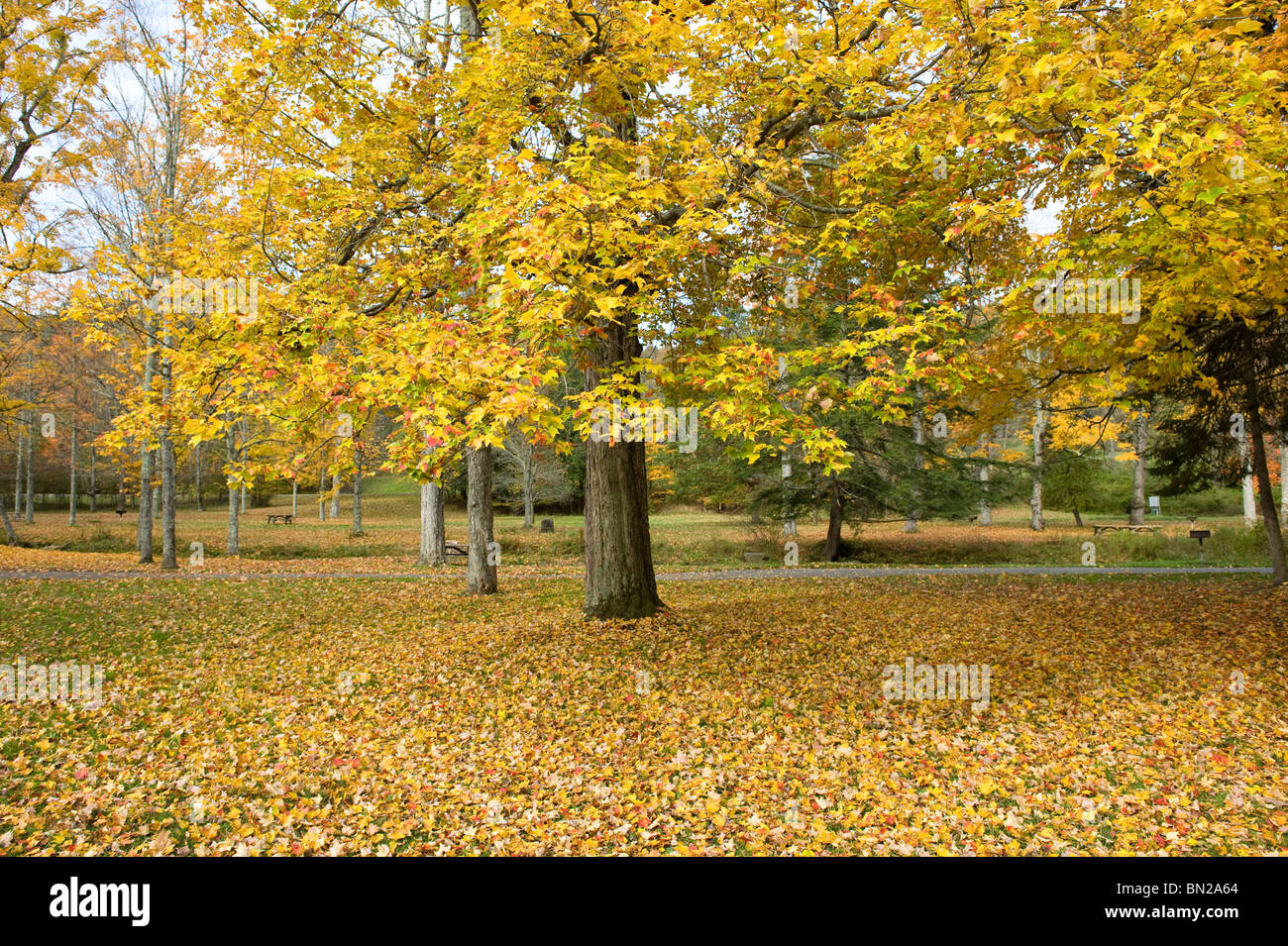 Fall Colors Ohio State Park Stock Photo - Alamy