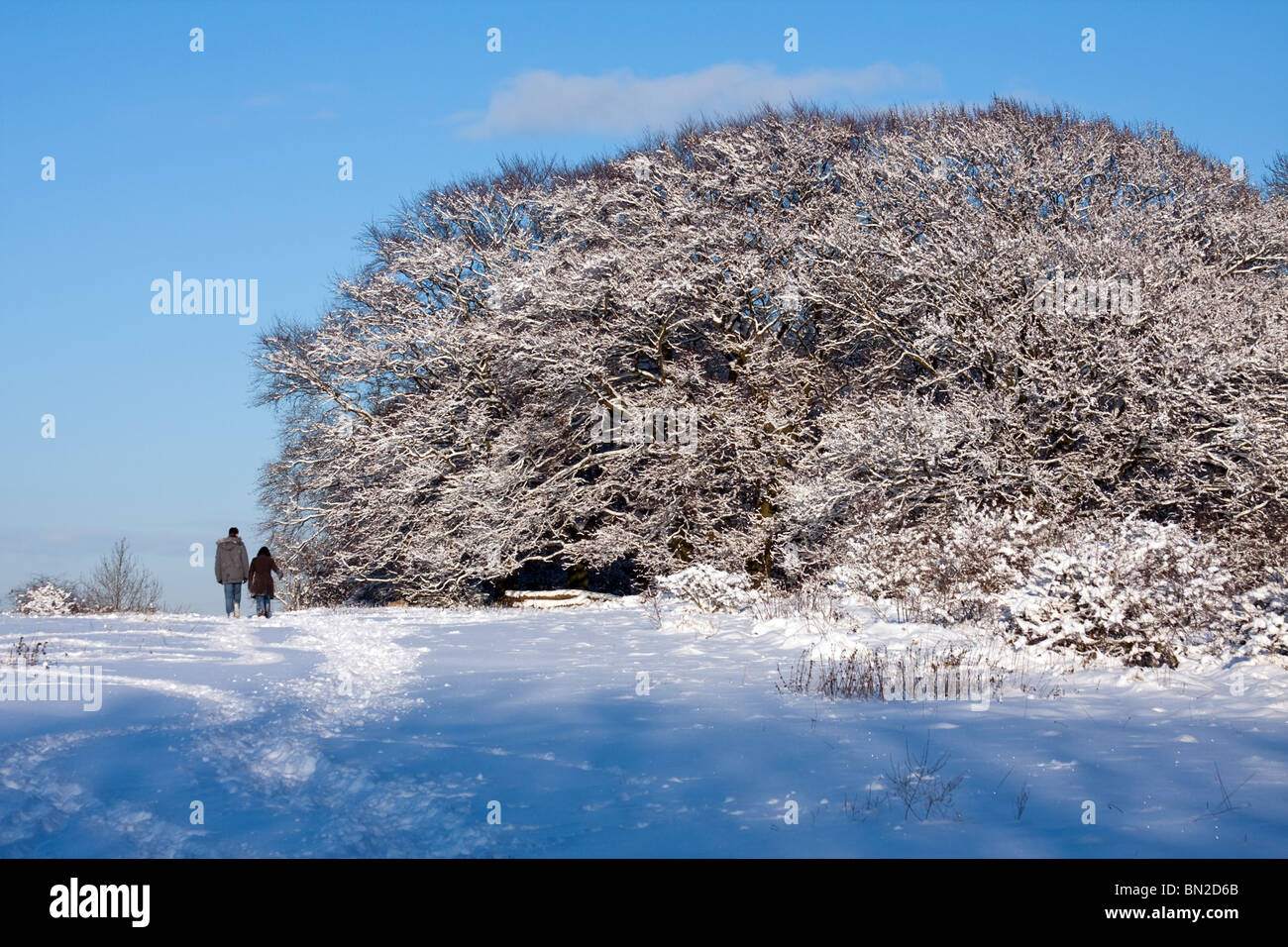 Romantic Walk in the Snow Stock Photo - Alamy