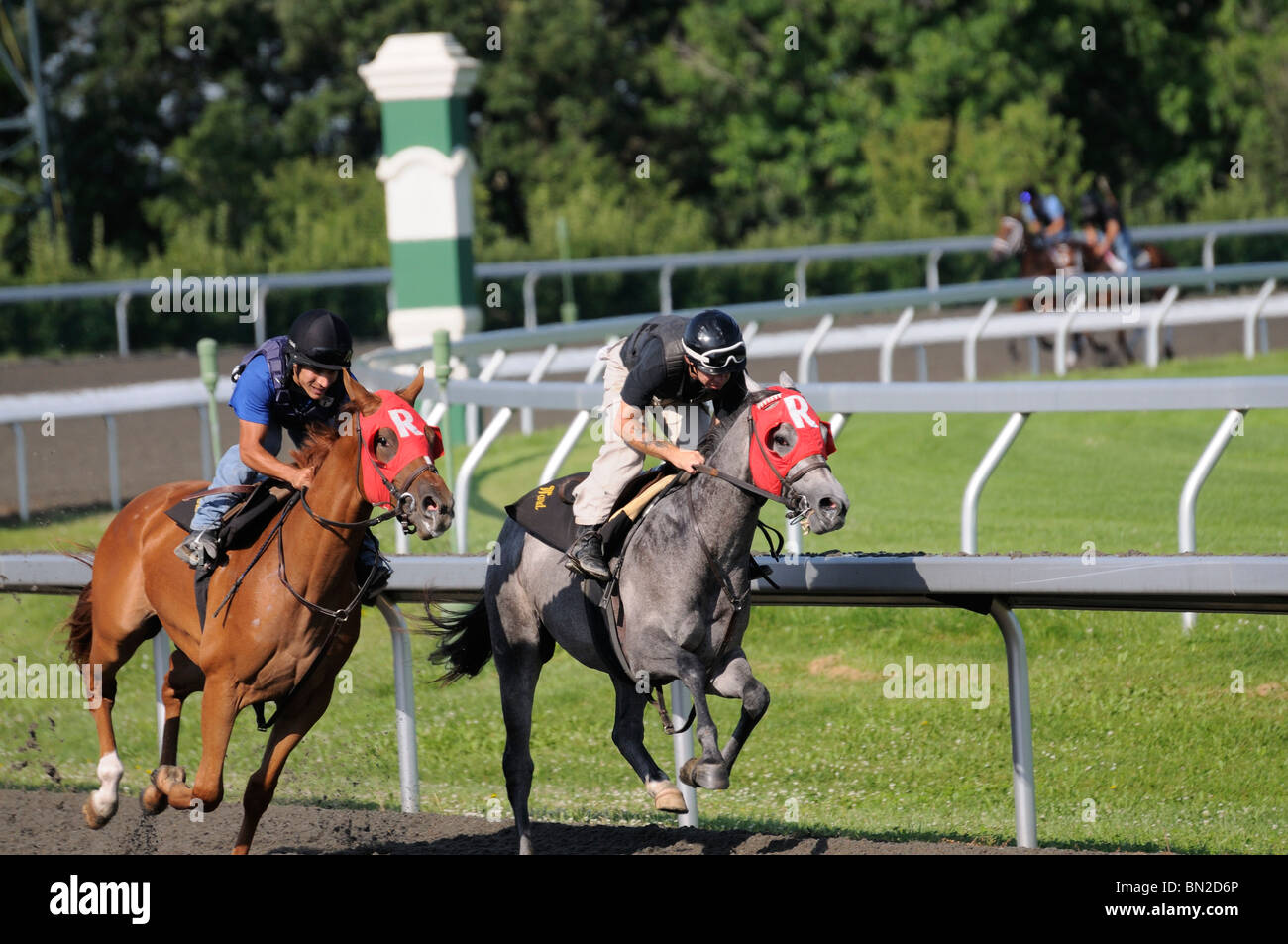 Thoroughbred horse and exercise jockey at the Keeneland horse racing ...