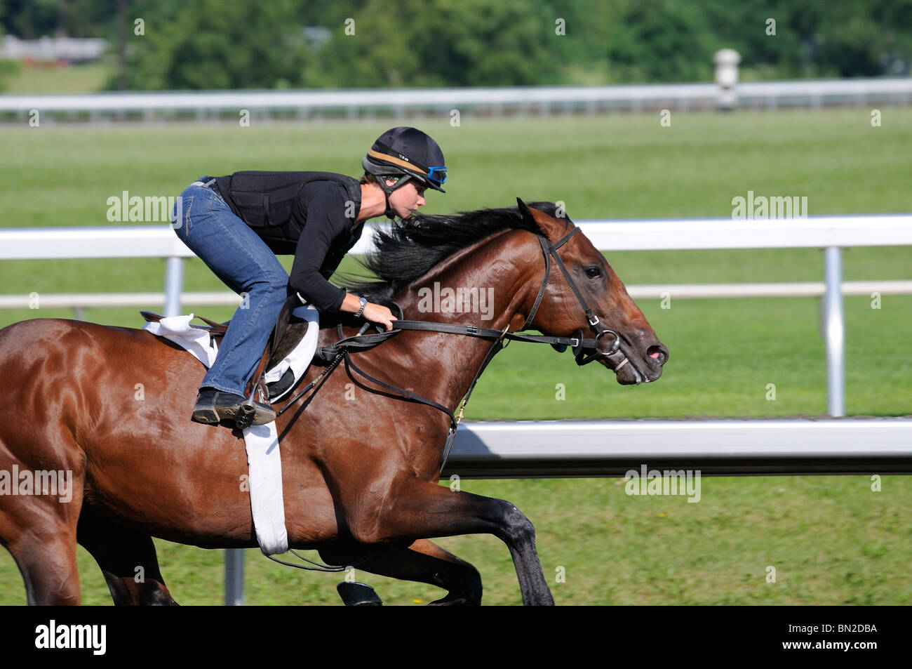 Thoroughbred horse and girl exercise jockey at the Keeneland horse ...