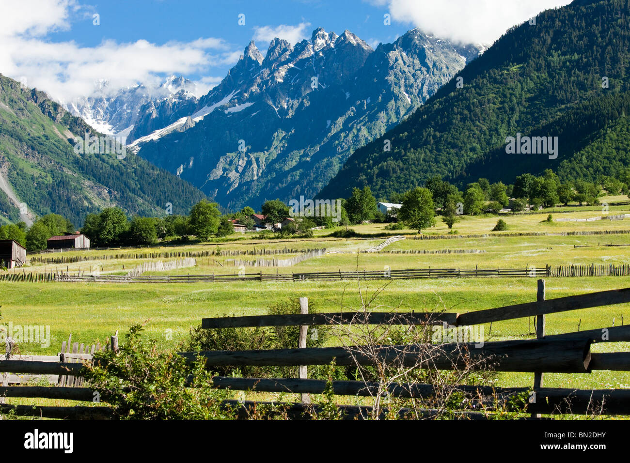 Georgia farm farming agriculture hi-res stock photography and images ...