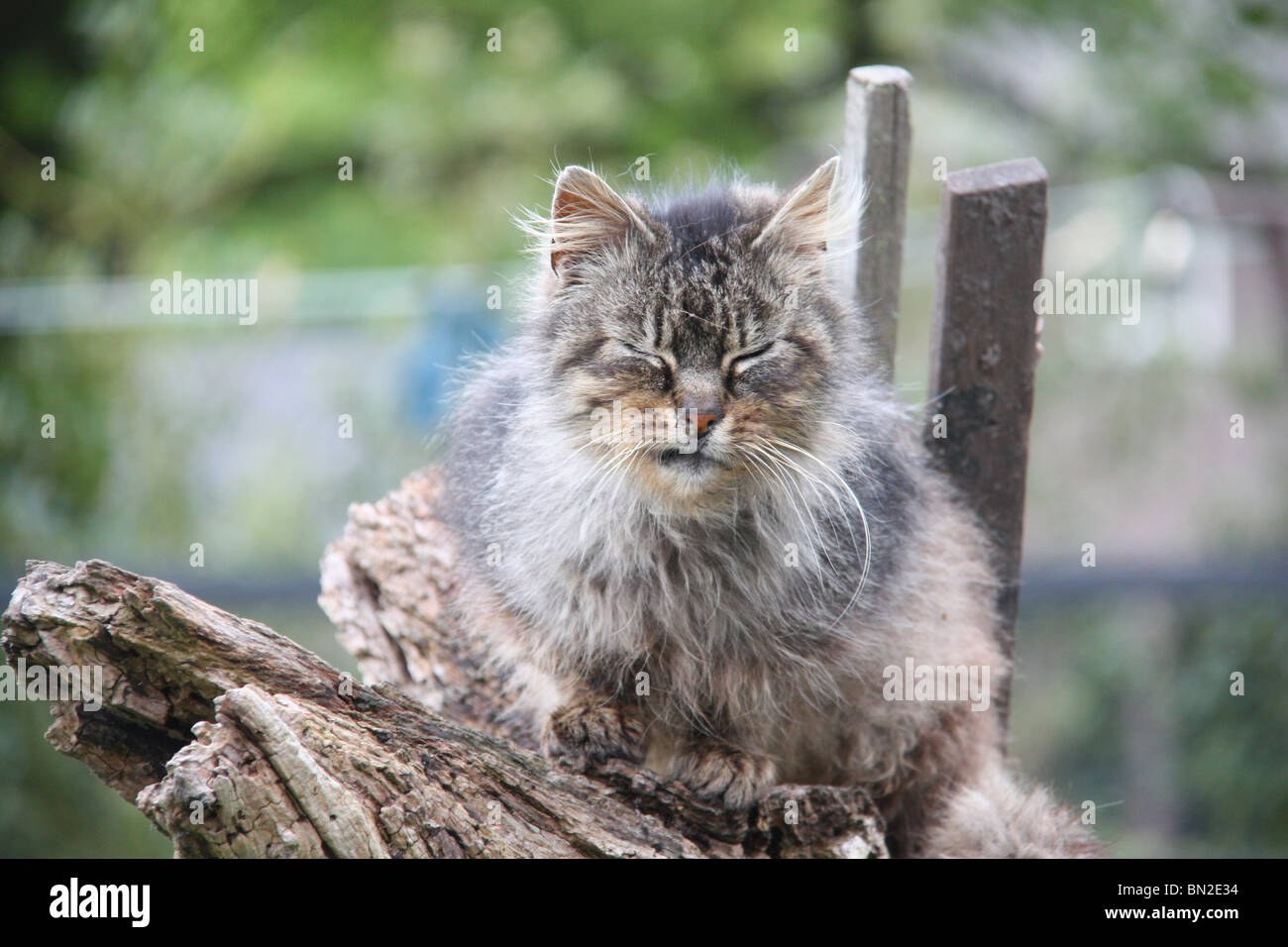 169 199 195 hi-res stock photography and images - Alamy