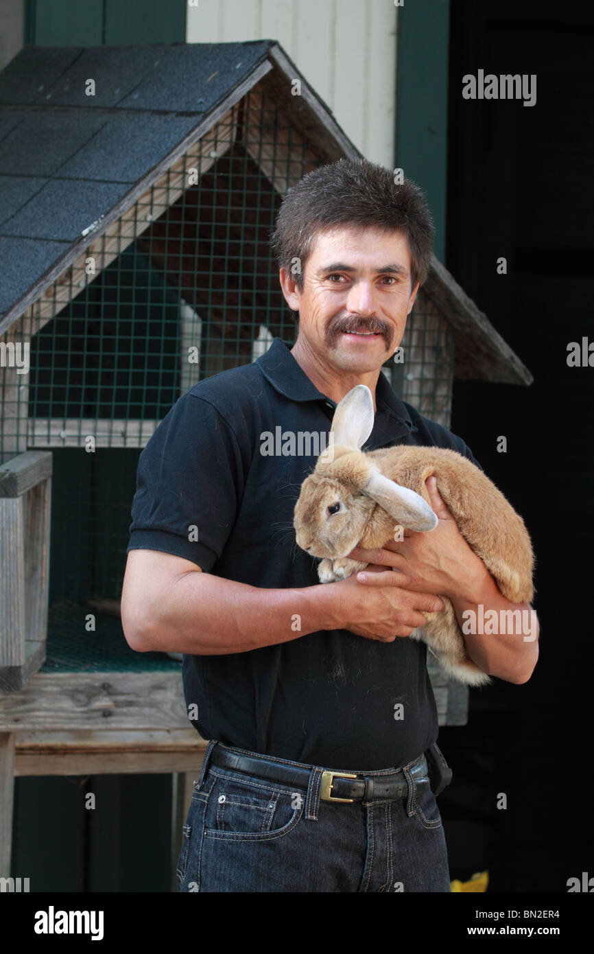 Hispanic man holding rabbit Stock Photo - Alamy