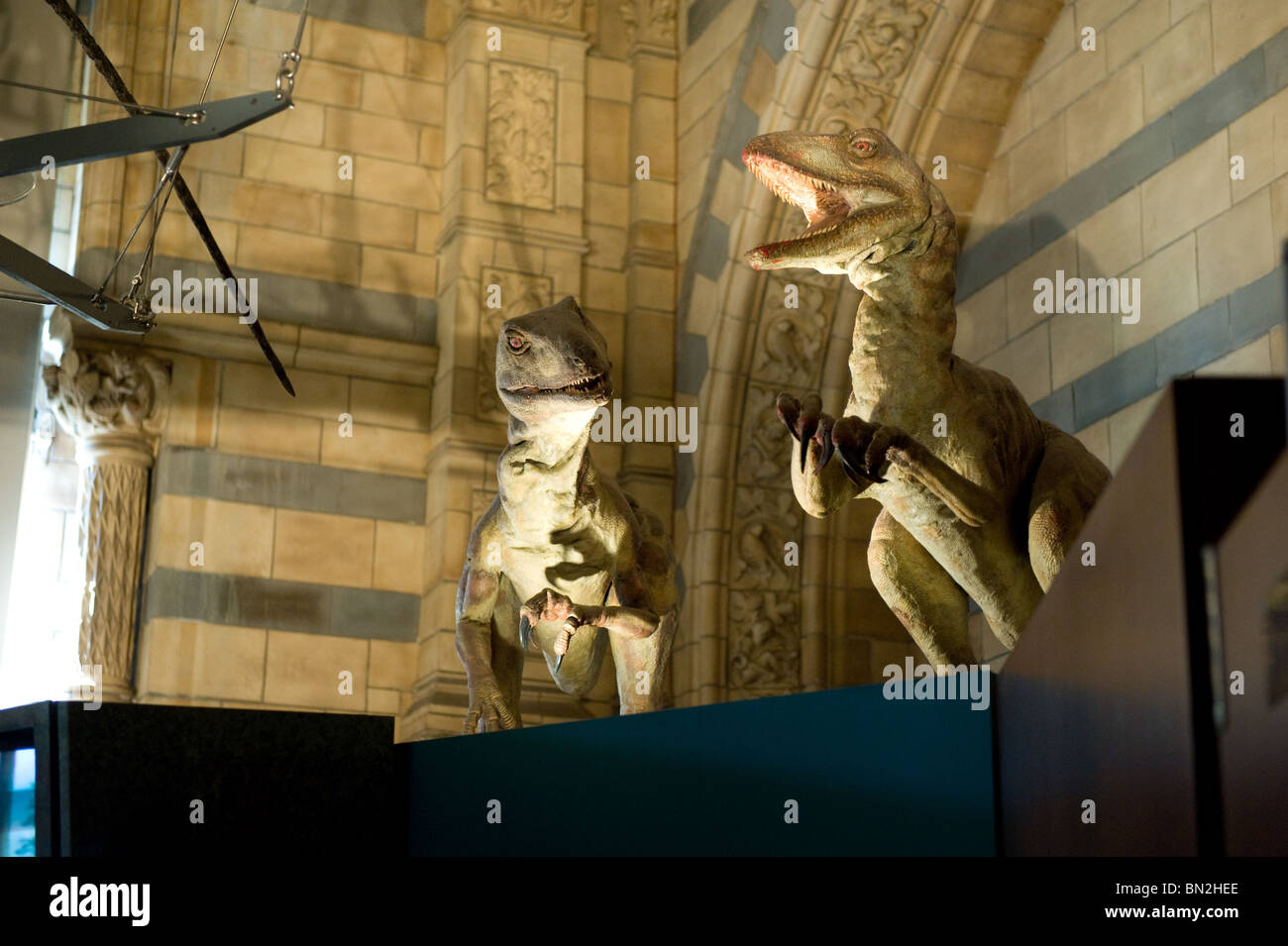 Animatronic or robotic dinosaur models in the Natural History Museum ...