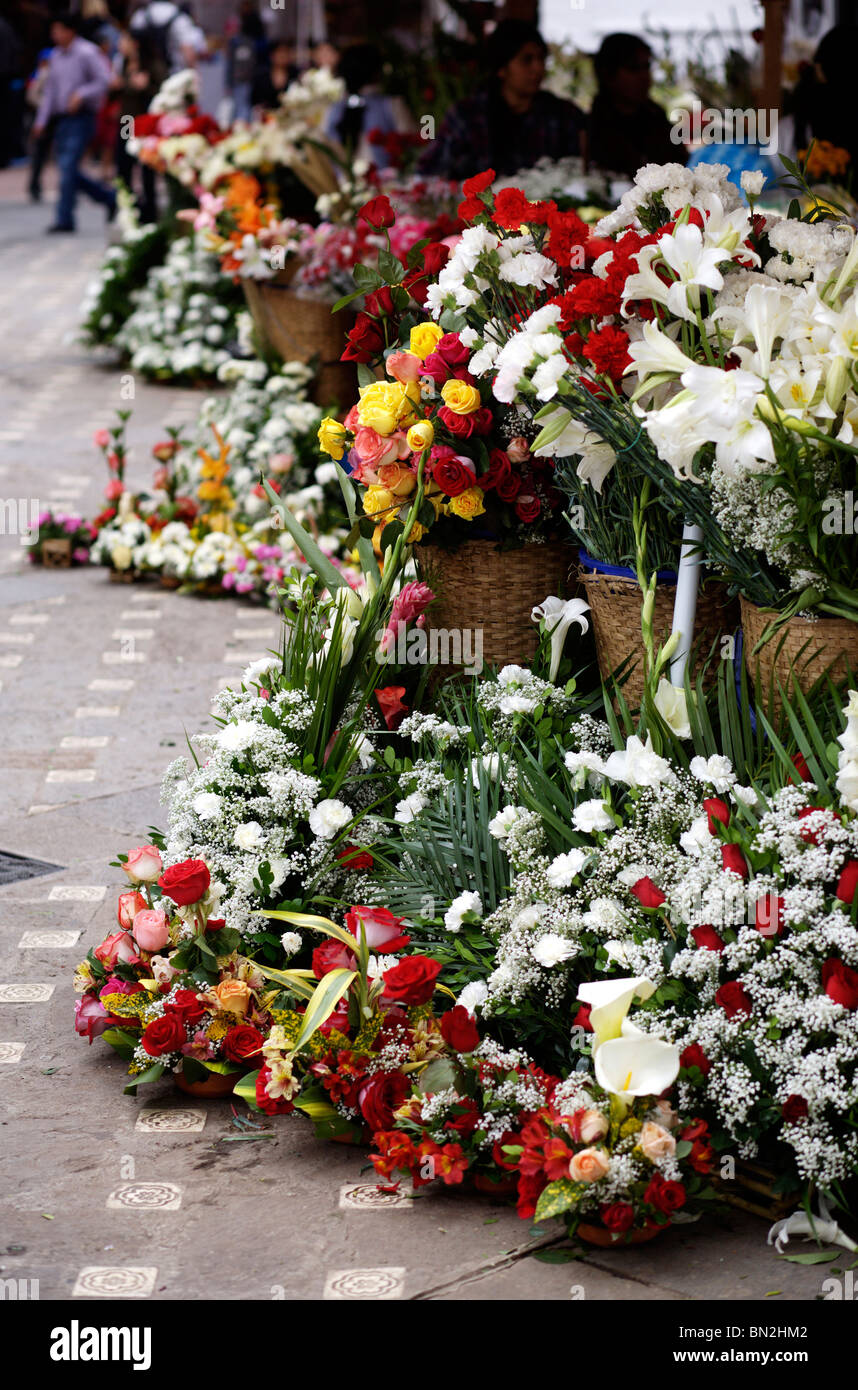 Cuenca ecuador plaza hi-res stock photography and images - Alamy