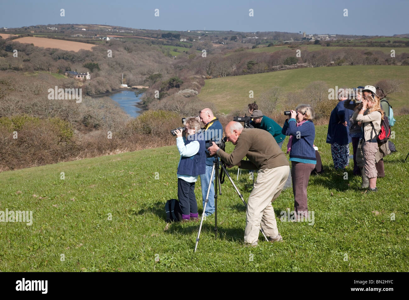 Bird activity hi-res stock photography and images - Alamy
