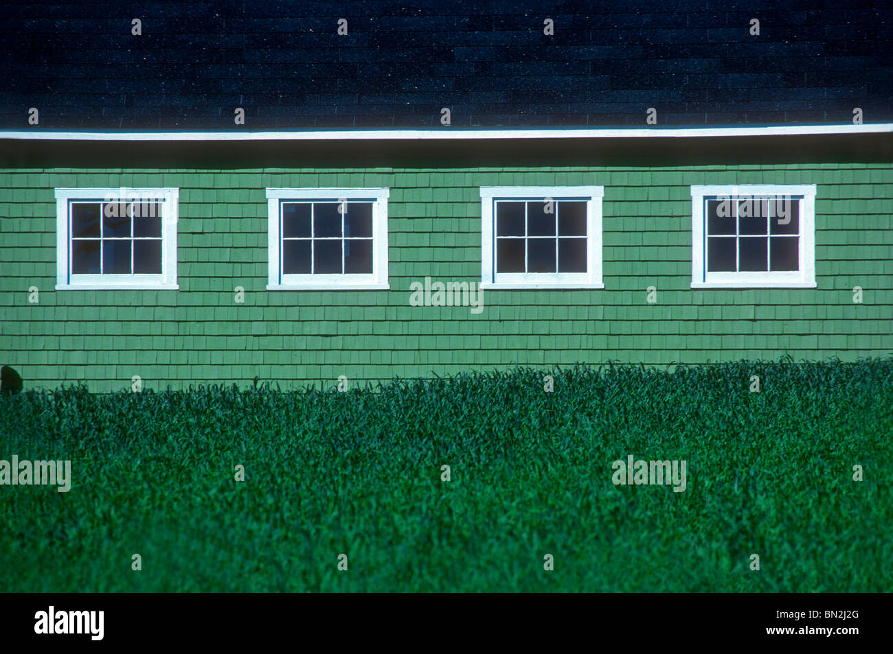 Green barn with green grass Stock Photo - Alamy