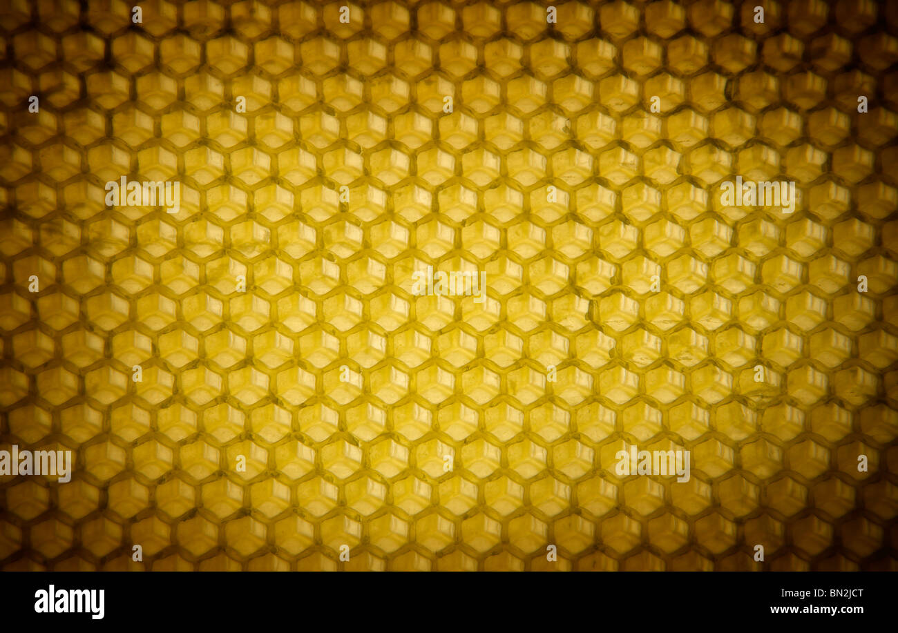 honey shaped back ground texture Stock Photo - Alamy
