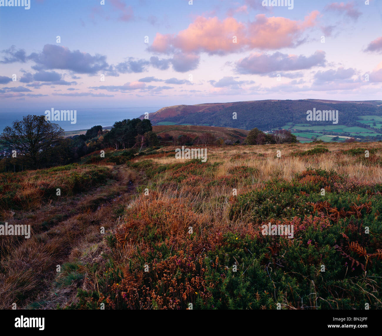 Bossington Hill High Resolution Stock Photography and Images - Alamy