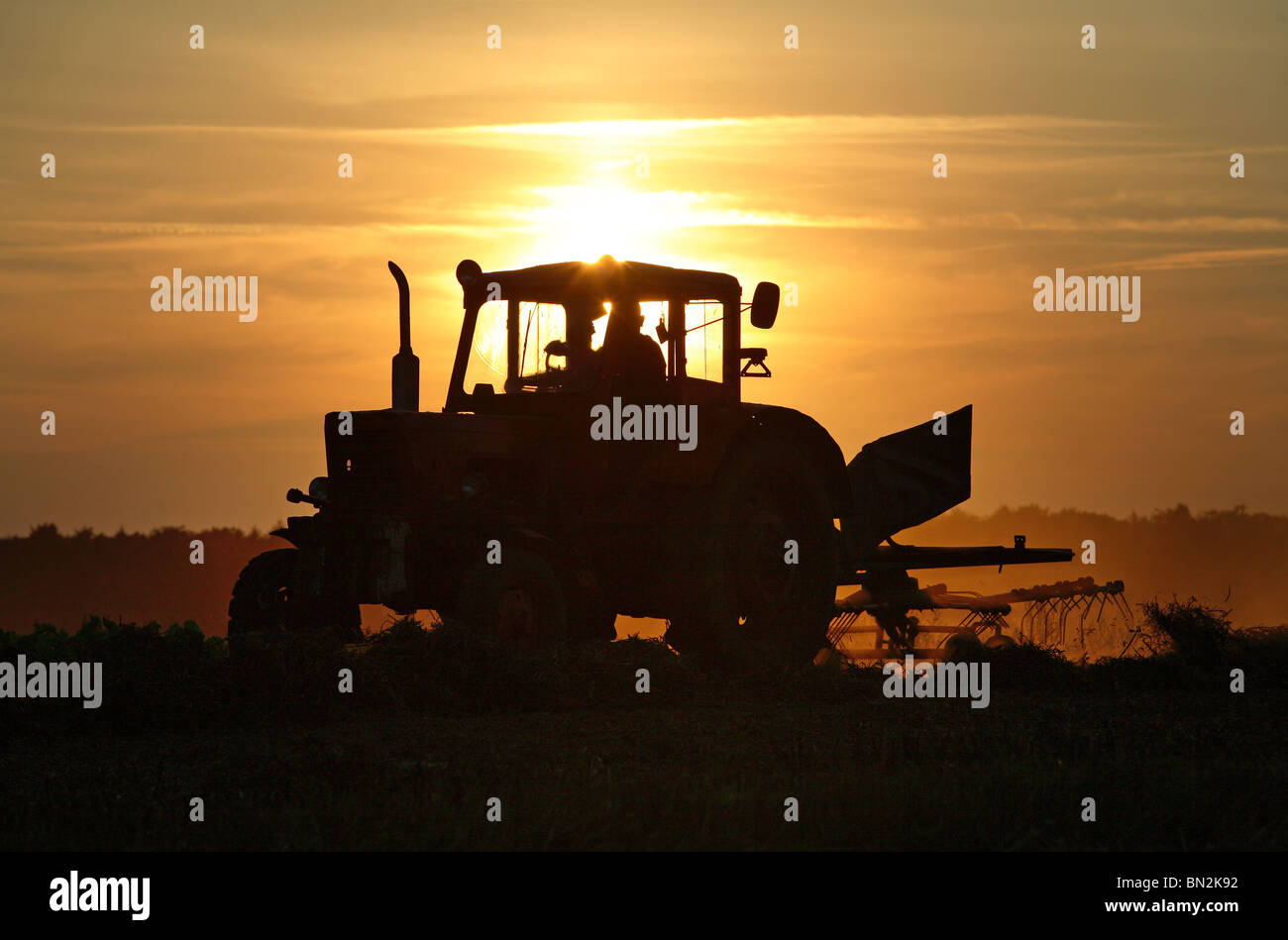 Tractor turning hay on a field at sunset, Prangendorf, Germany Stock ...