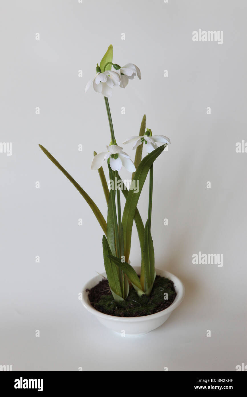 Silk flower on white background Stock Photo - Alamy