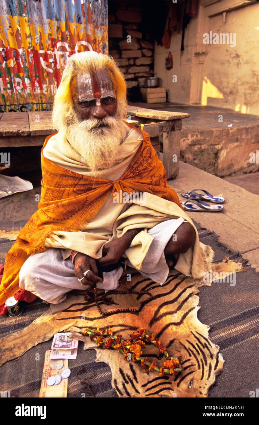 Sects hi-res stock photography and images - Alamy