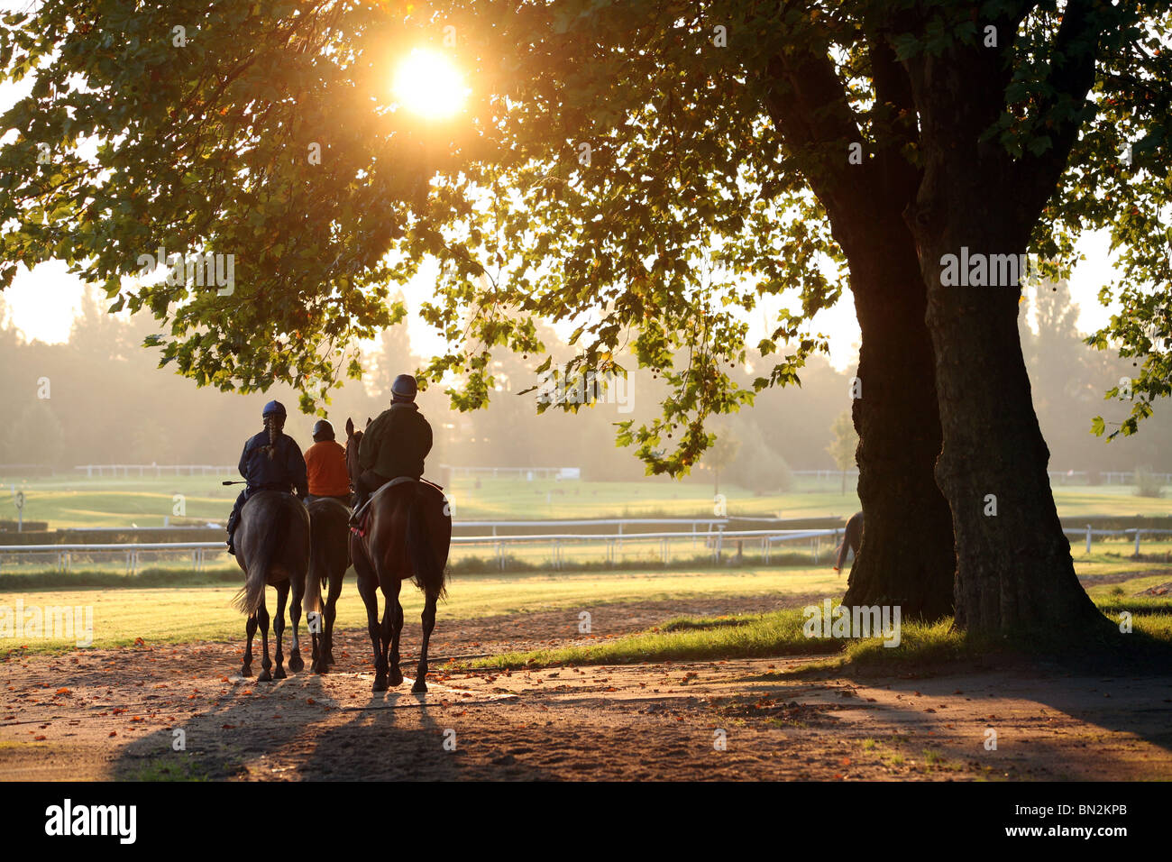 Female male riders hi-res stock photography and images - Alamy