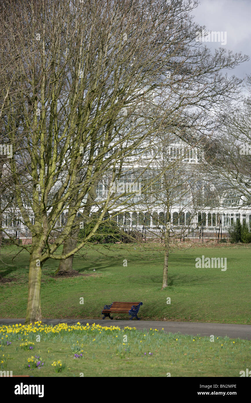 City of Liverpool, England. Early spring view of daffodils in Sefton ...