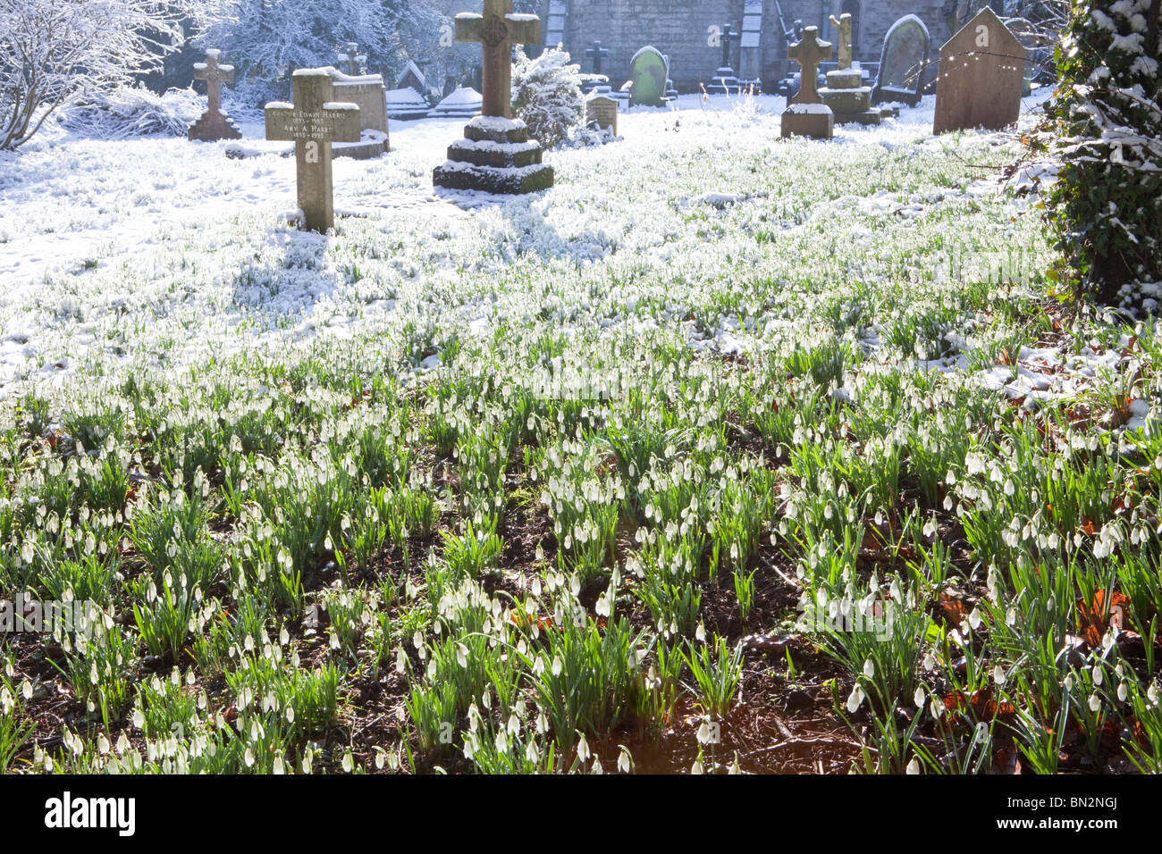 Cotswolds church snowdrops hi-res stock photography and images - Alamy
